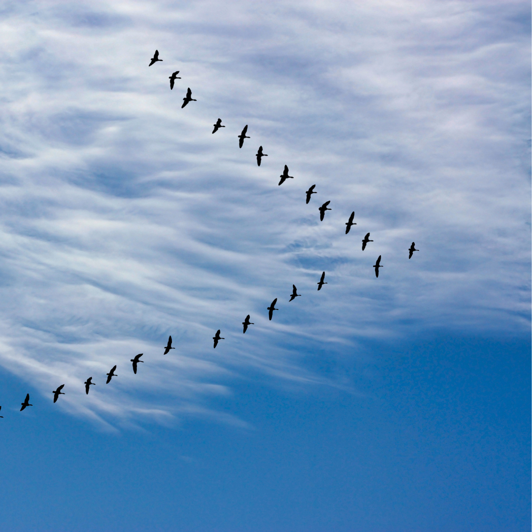 2 – Teamwork – Lovelin Johnson